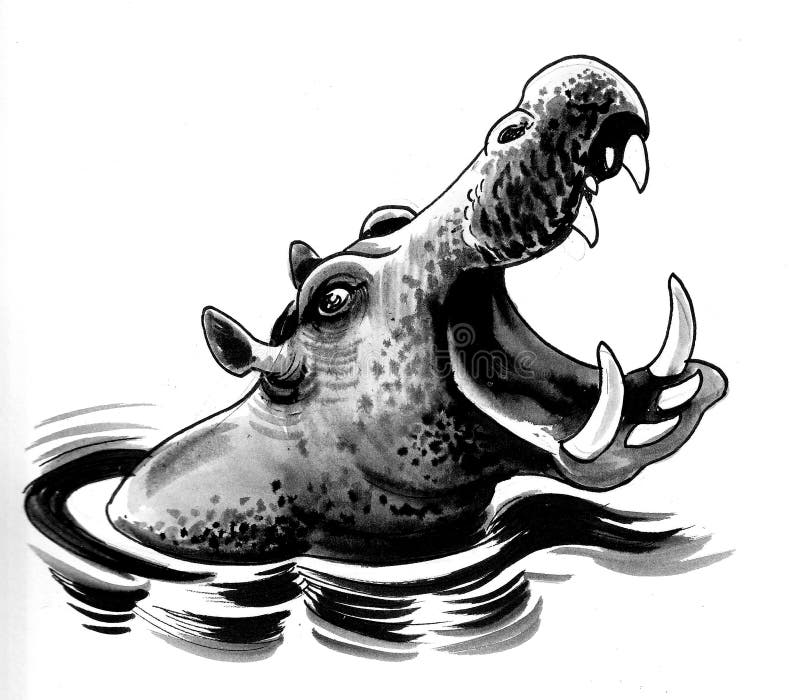 Hippopotamus in river stock illustration. Illustration of clip - 254816435