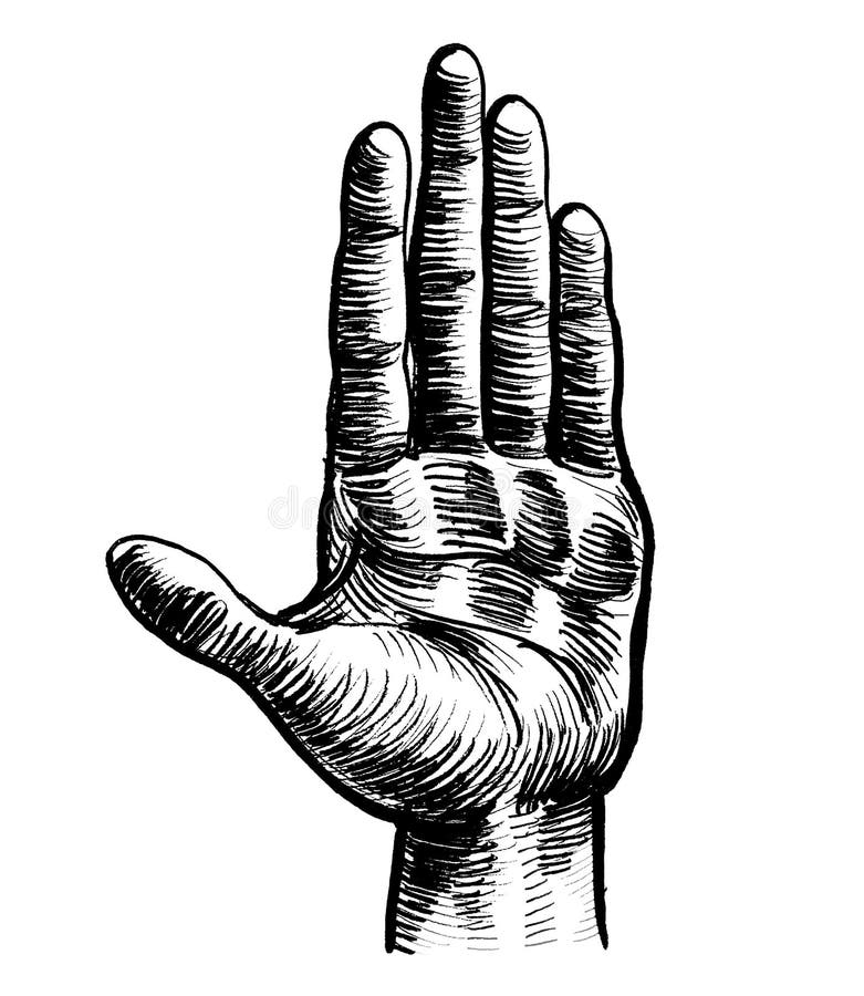 Human palm stock illustration. Illustration of white - 218977641