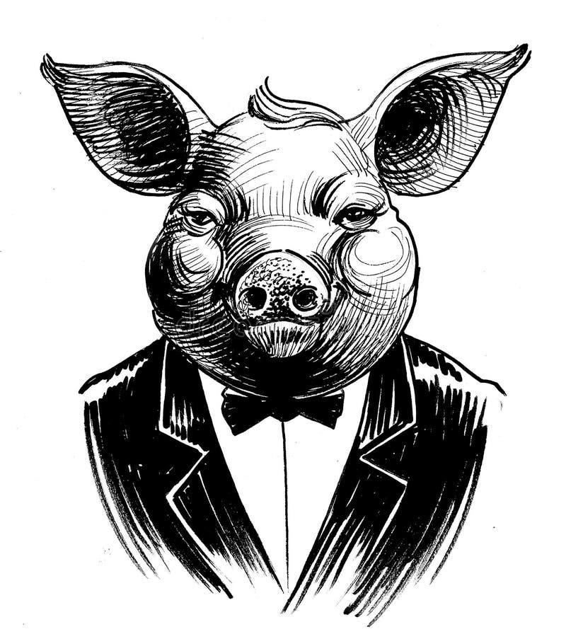 Cool pig stock illustration. Illustration of artwork - 241042964