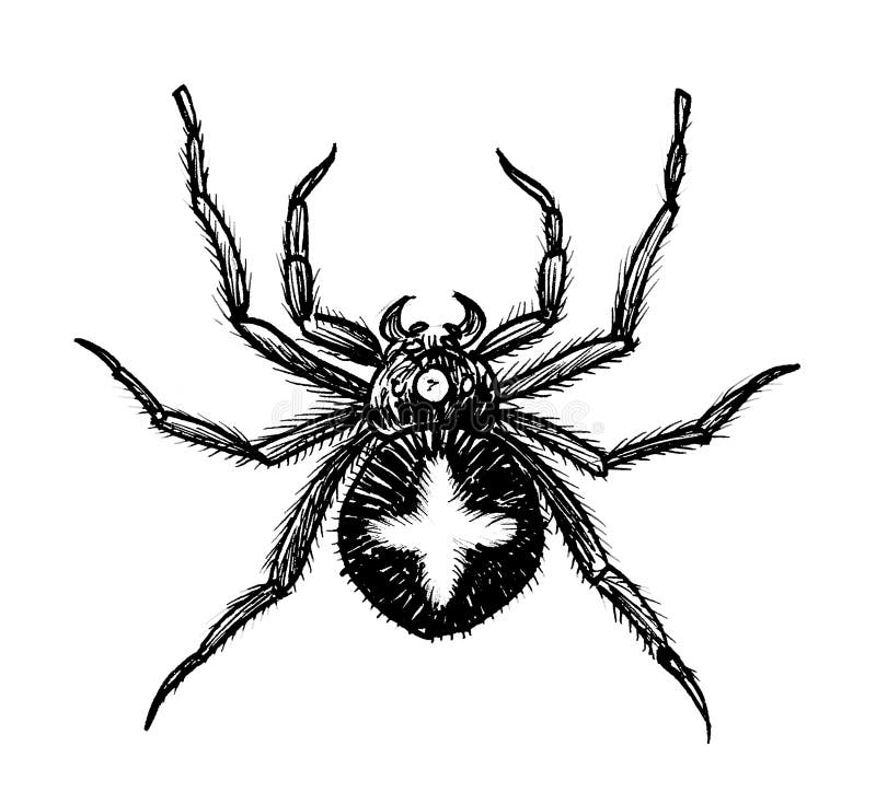 Ink Spider Stock Illustrations – 1,947 Ink Spider Stock Illustrations ...