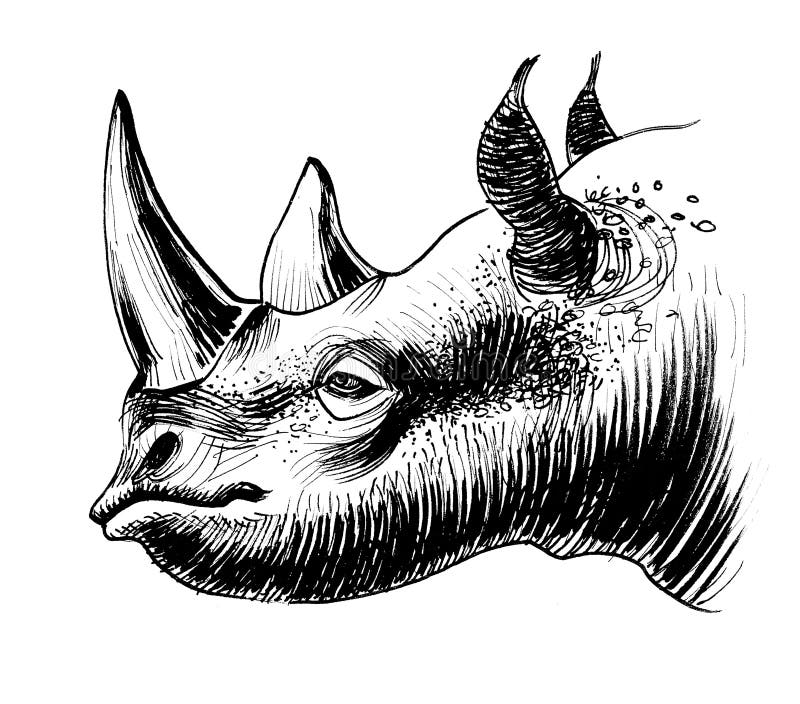Rhino head stock illustration. Illustration of head - 209146558