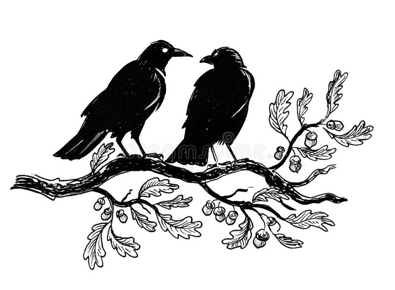 Two crows stock illustration. Illustration of black - 241043030