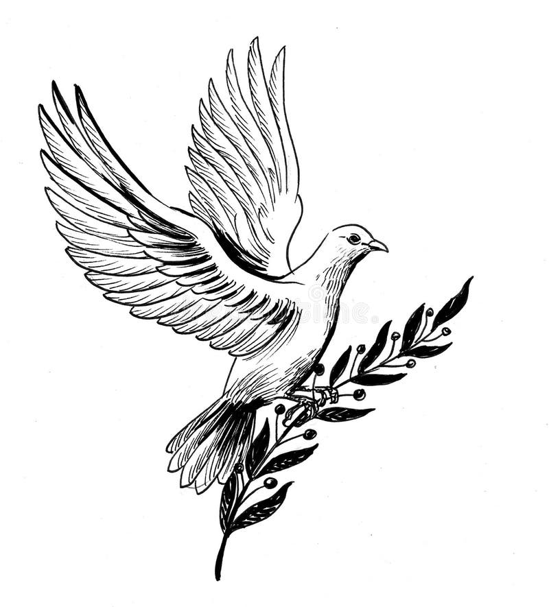 Dove of peace stock illustration. Illustration of feather - 114591436