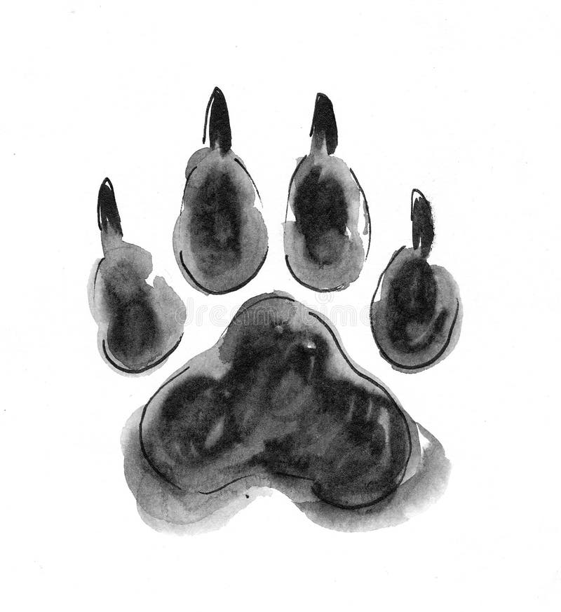Drawing Animal Track Stock Illustrations – 6,425 Drawing Animal Track ...