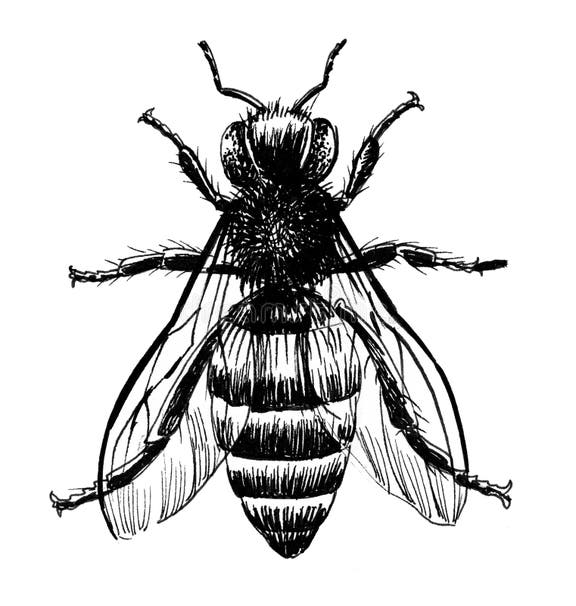 Ink Bee Stock Illustrations – 2,522 Ink Bee Stock Illustrations ...