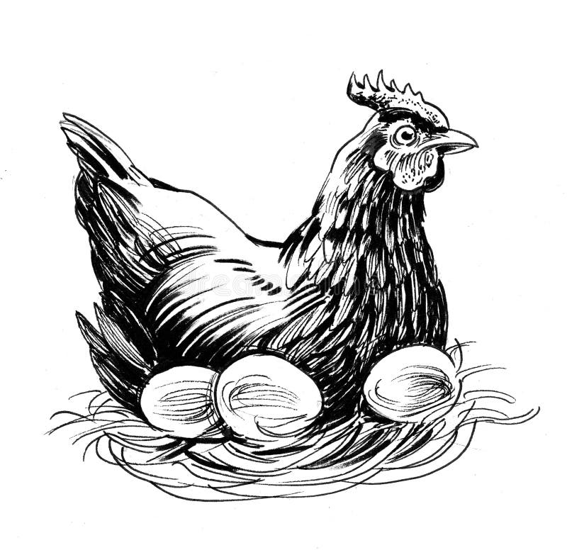 Hen and eggs stock illustration. Illustration of bird - 101532342 Hen and eggs stock illustration. Illustration of bird - 101532342
