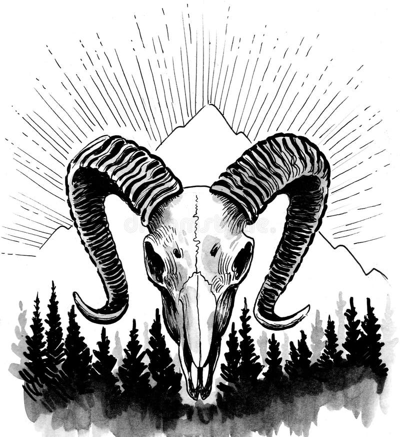 Ram skull stock illustration. Illustration of cranium - 32307483