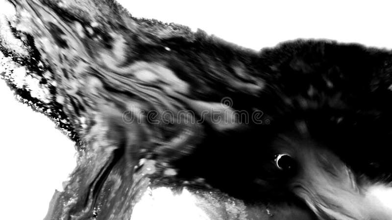 Ink Blots are Falling and Spread. Stock Footage - Video of inkblot ...