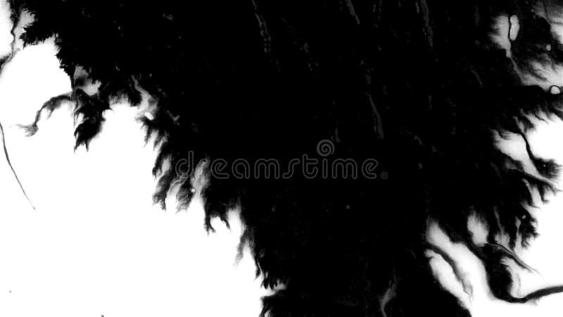 Ink Blots are Falling and Spread. Stock Footage - Video of inkblot ...