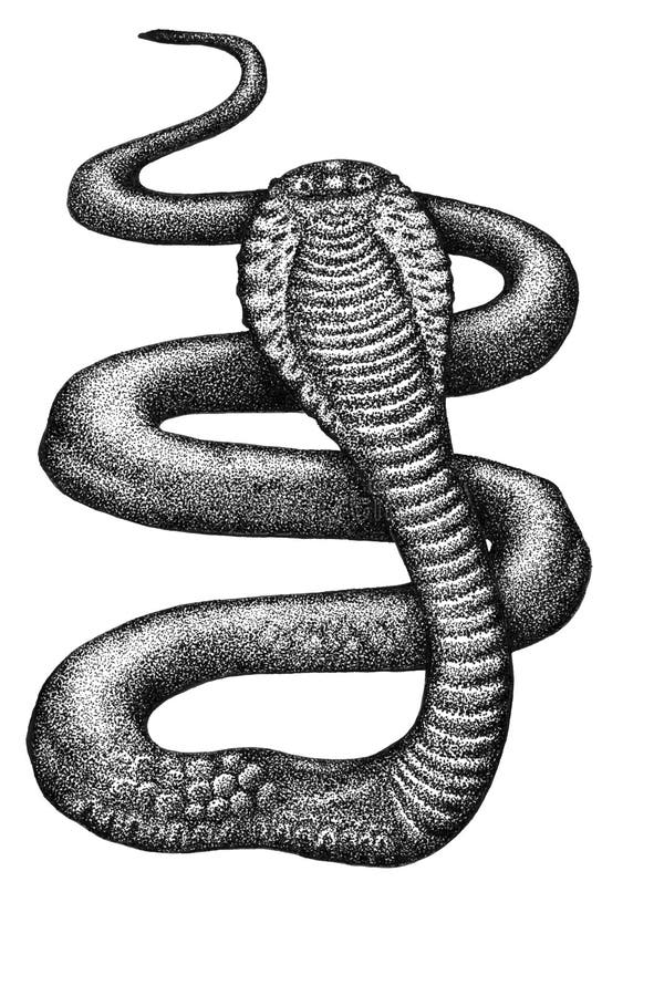Pointillism Snake Stock Illustrations – 17 Pointillism Snake Stock ...
