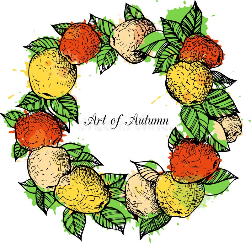Ink drawing apple wreath stock vector. Illustration of food - 45630502