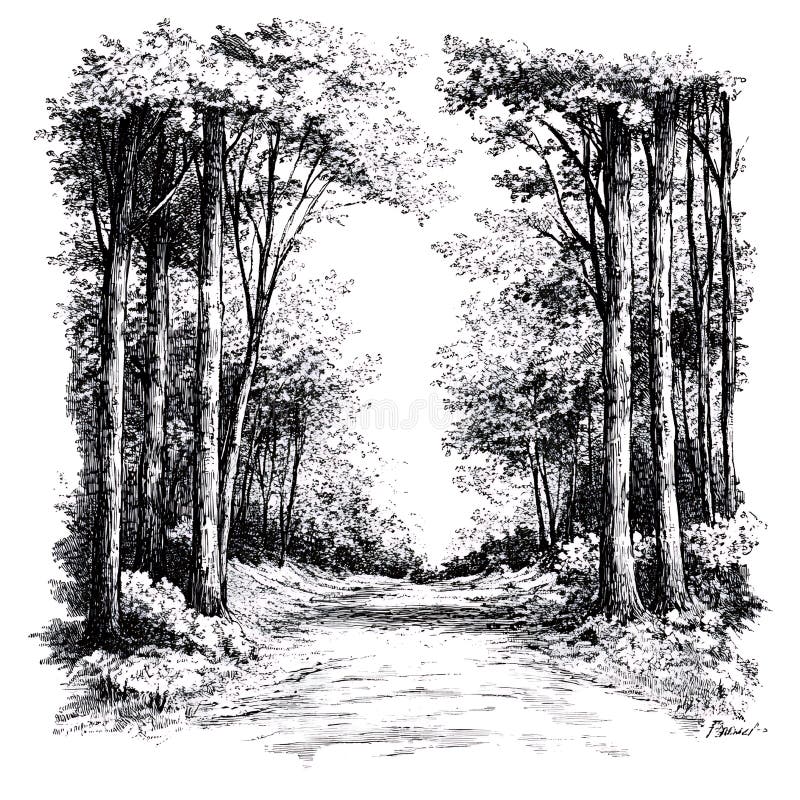Path Sketch Stock Illustrations – 20,858 Path Sketch Stock ...