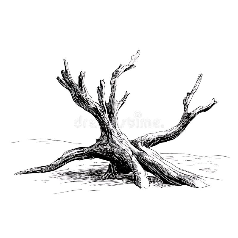Dead Tree Drawing Stock Illustrations – 3,977 Dead Tree Drawing Stock ...