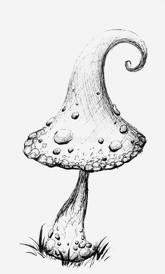 Ink Drawing of the Mushroom Stock Illustration - Illustration of ...