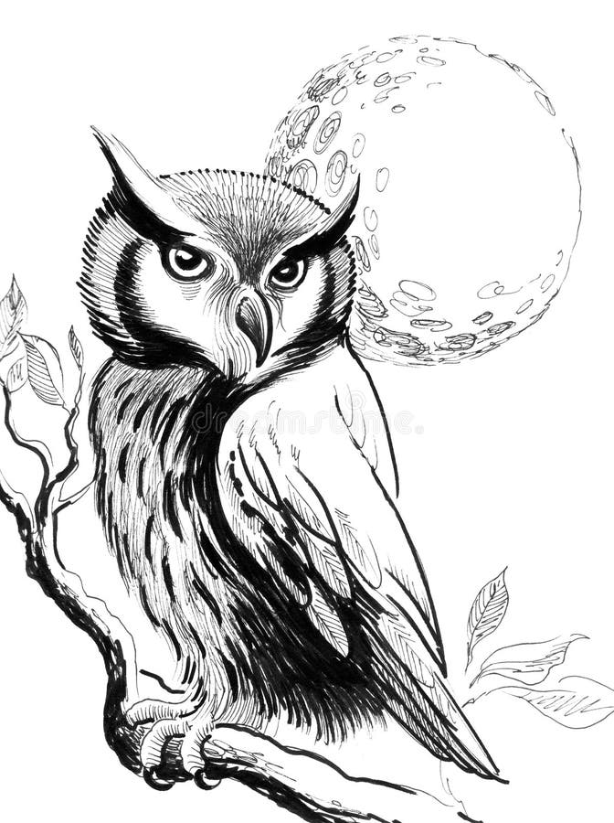 Owl and the moon stock illustration. Illustration of night - 99725576