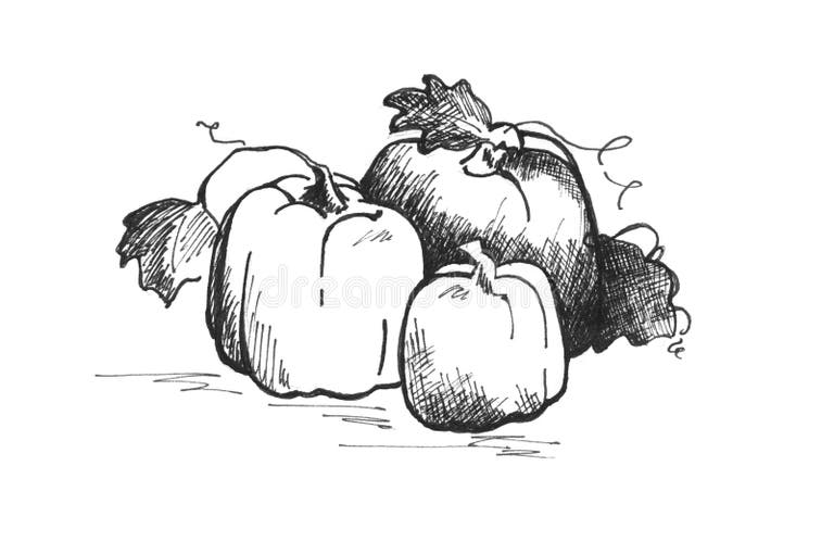 Vegetable Pen Drawing Stock Illustrations – 1,504 Vegetable Pen Drawing ...