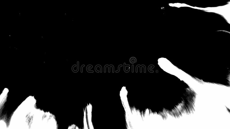 Ink Drop on White Black Background Footage, Ink Footage Stock Footage ...