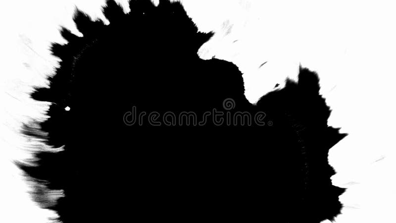 Ink Drop on White Black Background Footage, Ink Footage Stock Footage ...