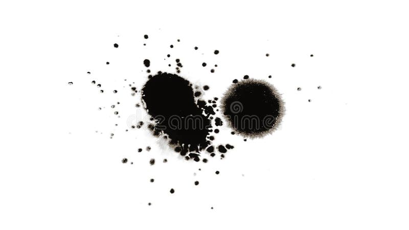 Drop of Ink Drops on a White Background Stock Video - Video of blend ...