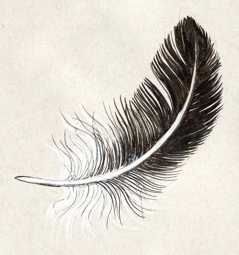 Ink feather stock illustration. Illustration of feather - 101441269