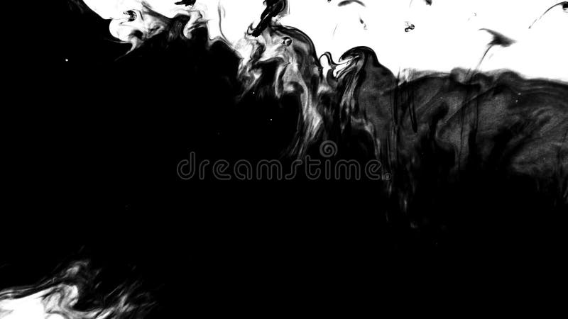 Ink Fill Frame, Video Transition on Alpha Channel. Stock Video - Video ...