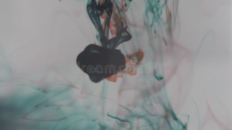 Ink flowing in the water. stock video. Video of creativity - 258492479