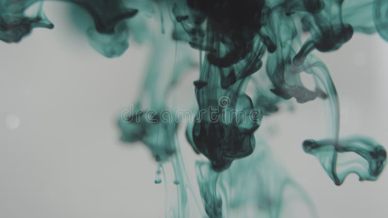 Ink flowing in the water. stock footage. Video of watercolor - 258492492