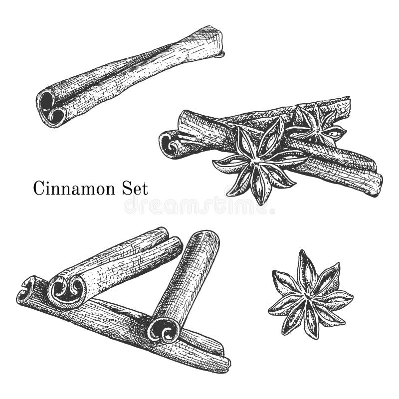 Ink Hand Drawn Cinnamon Set Stock Vector - Illustration of menu ...