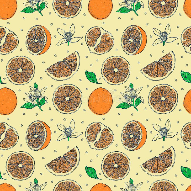 Ink Hand Drawn Seamless Pattern of Orange Fruit. Food Element ...