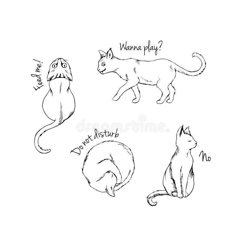 Ink Handdrawn Funny Cats Sticker Set Stock Vector - Illustration of ...