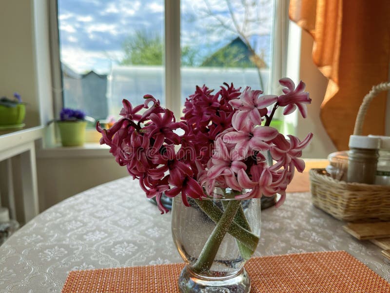 Ink Hyacinths Stock Photos - Free & Royalty-Free Stock Photos from ...