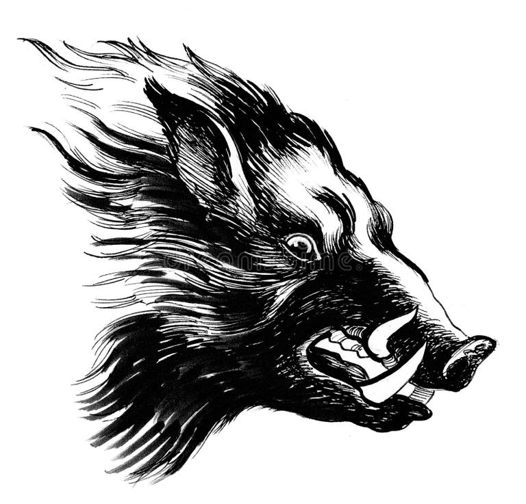 Mad boar stock illustration. Illustration of artwork - 101441503