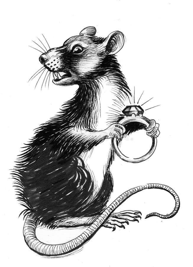 Rat with a ring stock illustration. Illustration of ring - 100549865