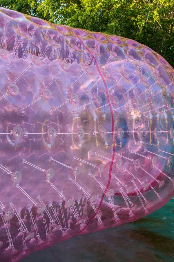 Ink Inflatable Structures in the Park Stock Image - Image of background ...