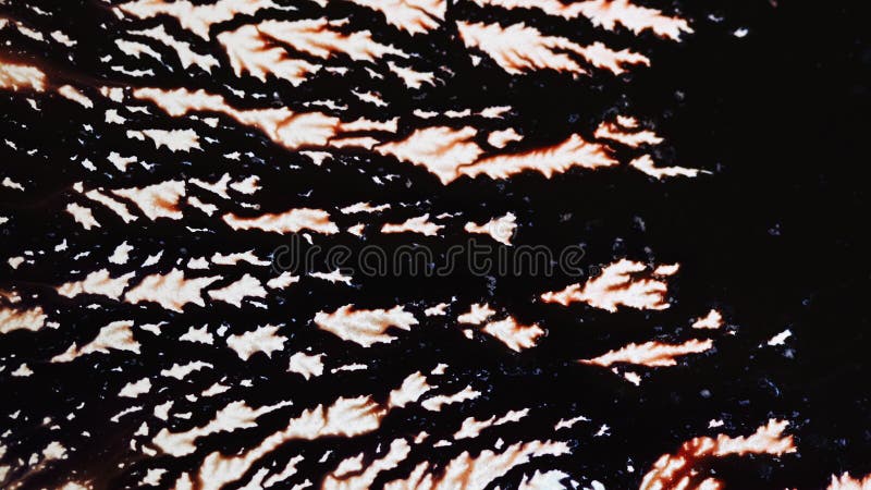 Ink Paint Drop Spread on a Surface Background Stock Video - Video of ...