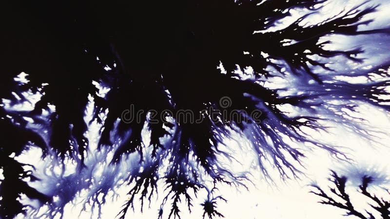 Ink Paint Drop Spread on a Surface Background Stock Video - Video of ...
