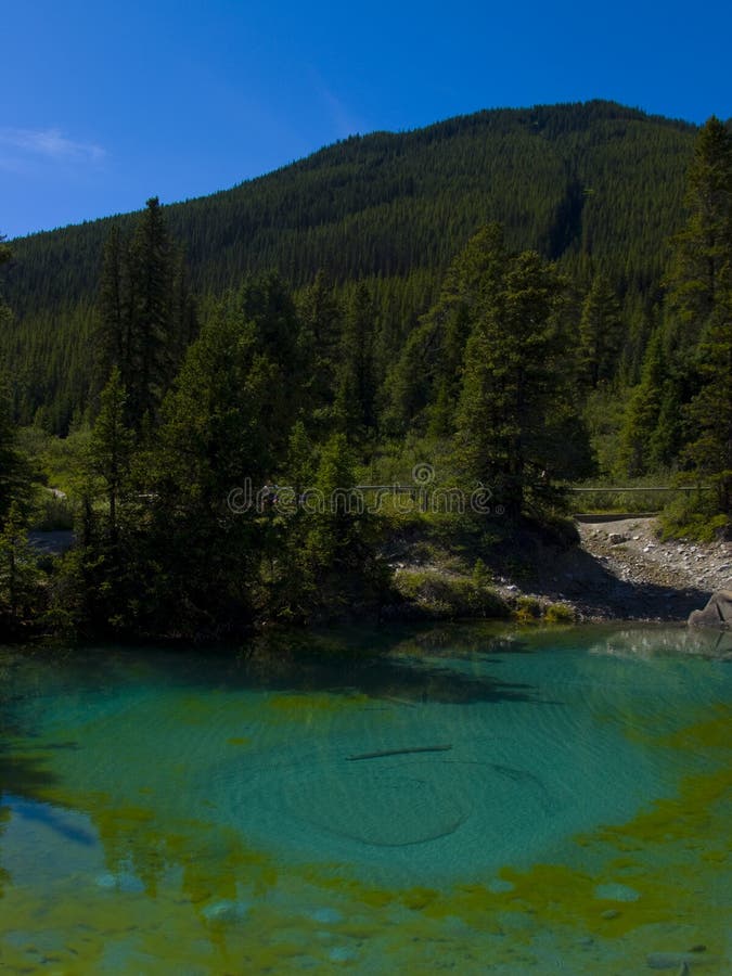 Ink Pots pools stock image. Image of spring, geothermal - 23317091