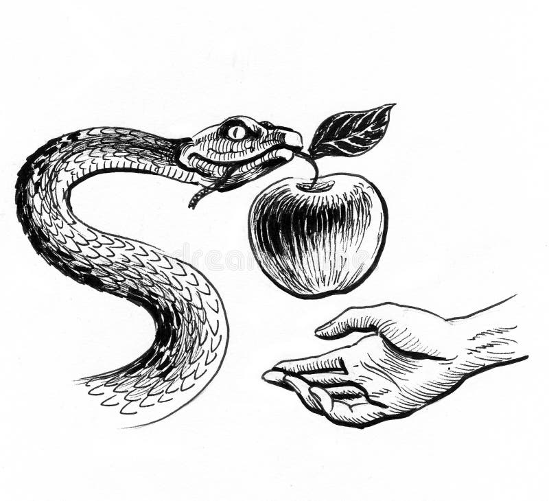 Snake Apple Stock Illustrations – 1,546 Snake Apple Stock Illustrations ...
