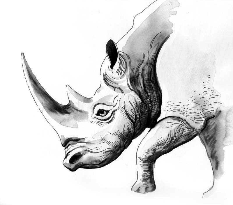 Rhinoceros sketch stock illustration. Illustration of rhino - 114591633