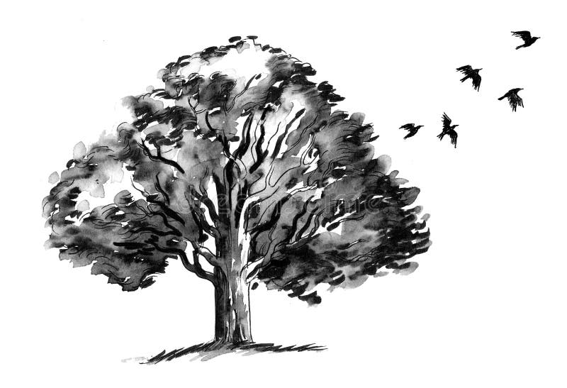 Tree and birds stock illustration. Illustration of nature - 100550934