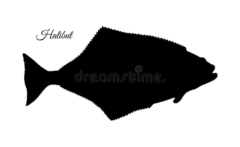 Ink sketch of halibut. stock vector. Illustration of pacific - 187680114