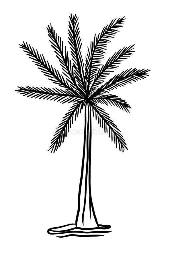 Vintage Palm Tree Woodcut Stock Illustrations – 173 Vintage Palm Tree ...