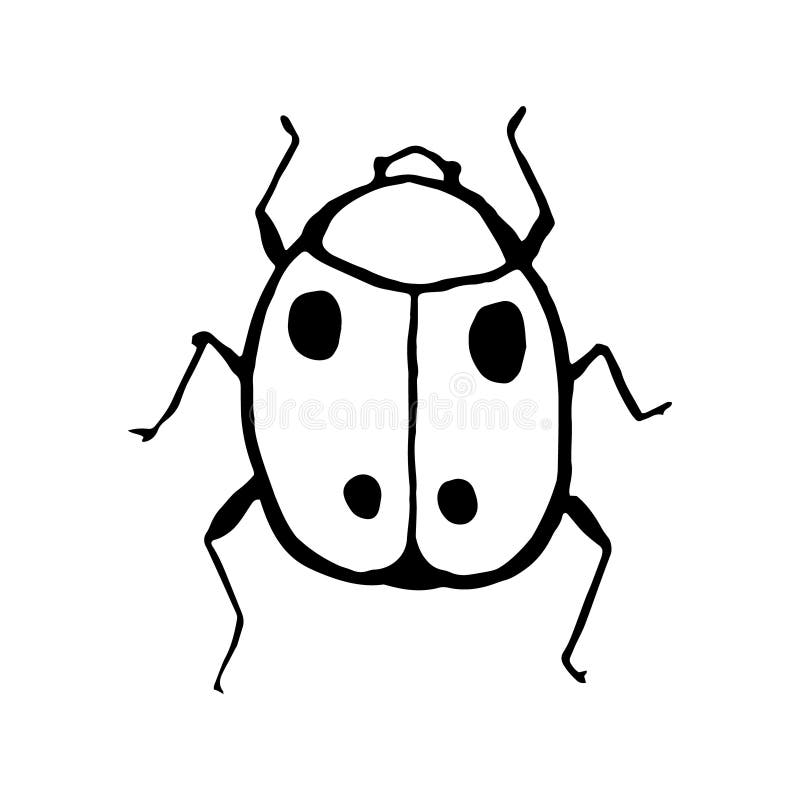 Ink Sketch Vector Beetle, Hand Drawing Silhouette Stock Vector ...