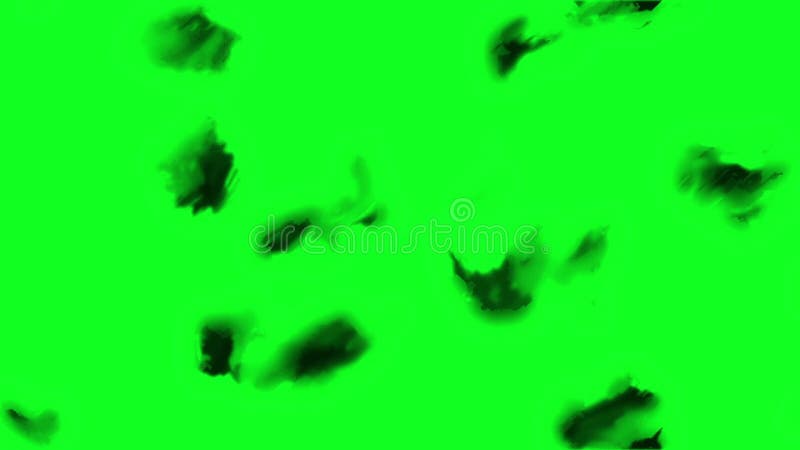 Ink Splatter on Green Screen Stock Footage - Video of water, organic ...