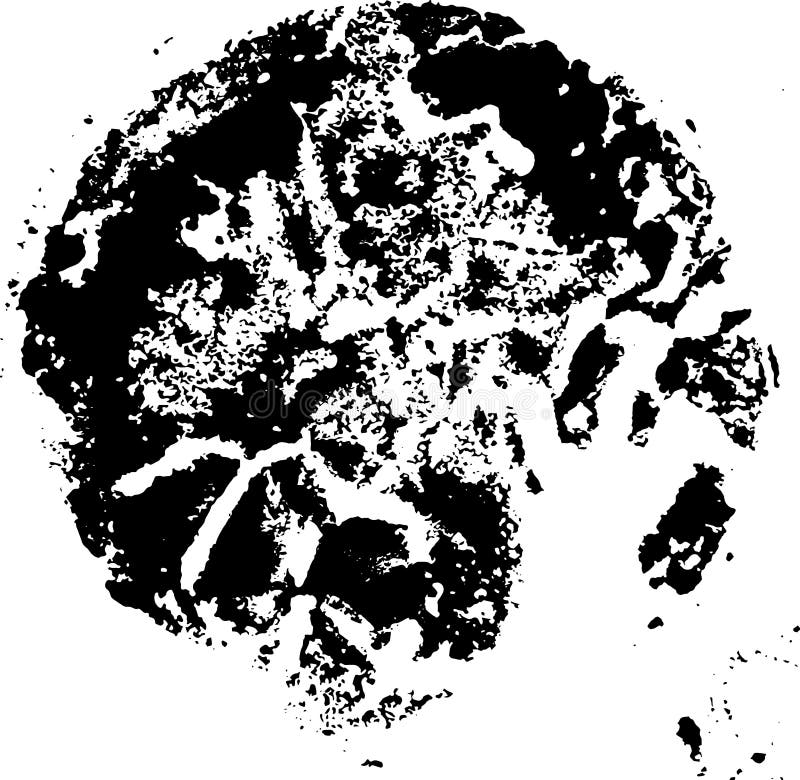 Sponge Stamp Texture Stock Illustrations – 297 Sponge Stamp Texture ...