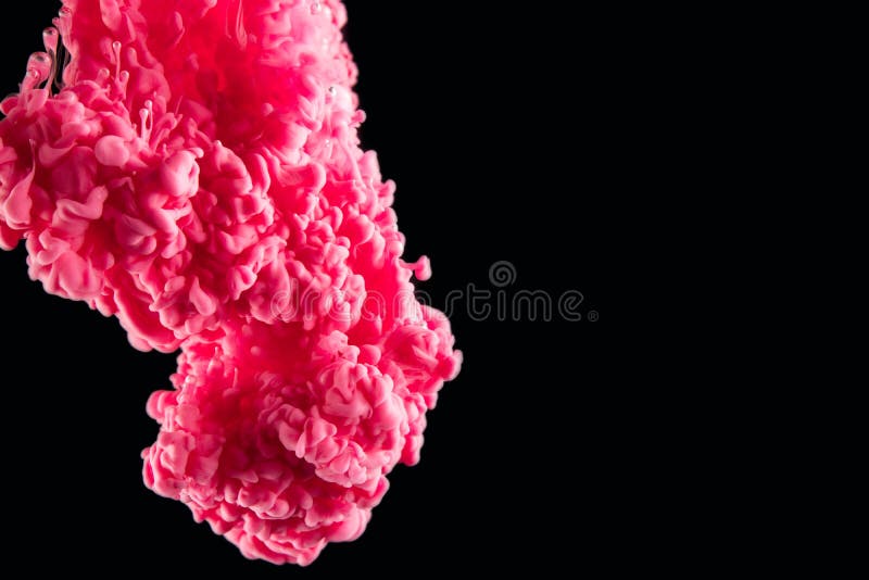 Ink in Water. Ink Swirling in Water. Ink in Water Isolated. Pink Ink in ...