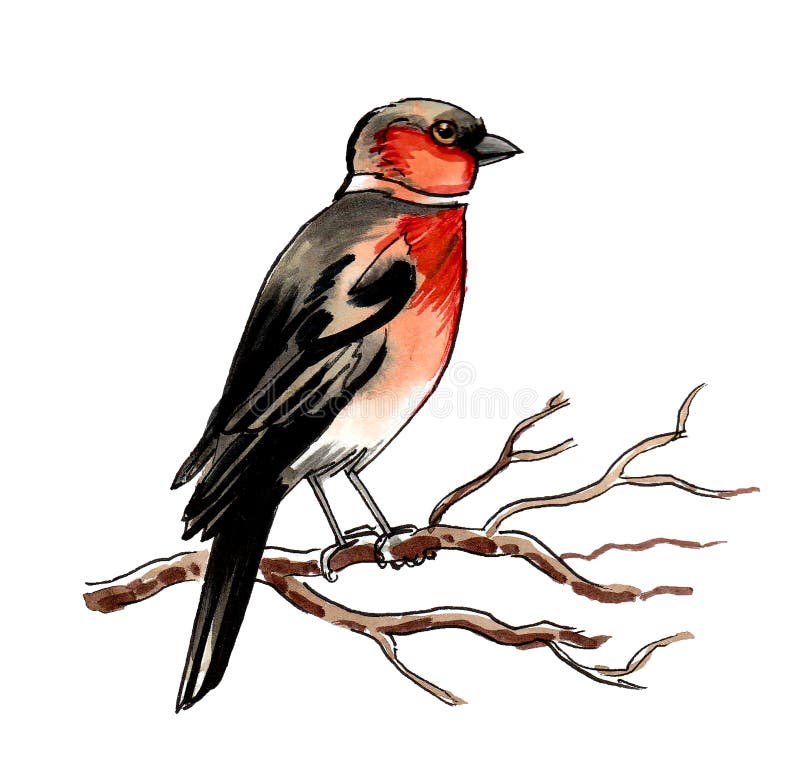Cute bird on a tree stock illustration. Illustration of sitting - 234377017