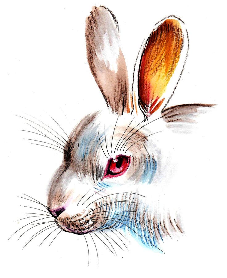 Rabbit Head Painting