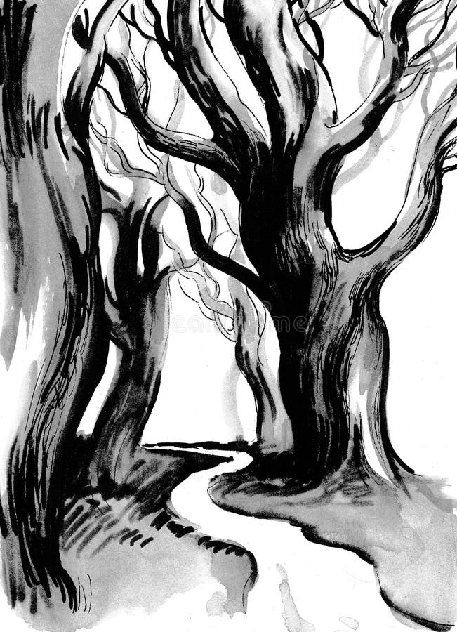 Sketch Trees Forest Path Stock Illustrations – 3,860 Sketch Trees ...