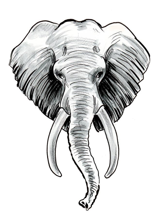 Elephant head stock illustration. Illustration of artwork - 118389554